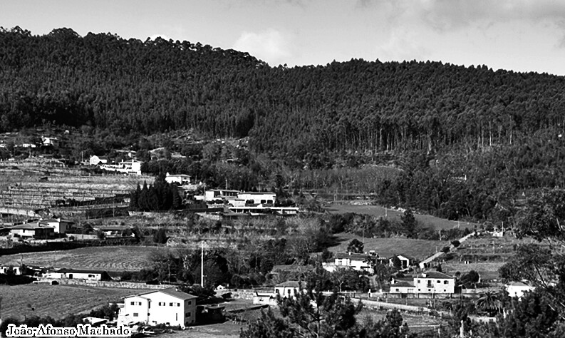 Quem terá sido? - Jam Sem Terra
