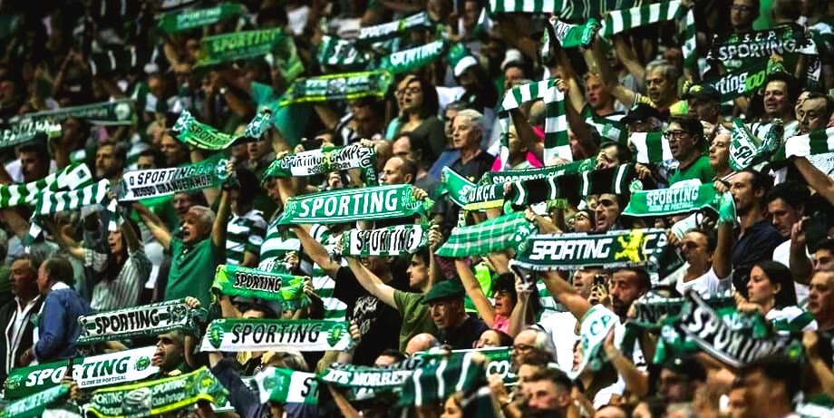 As emoções dos adeptos - Camarote Leonino