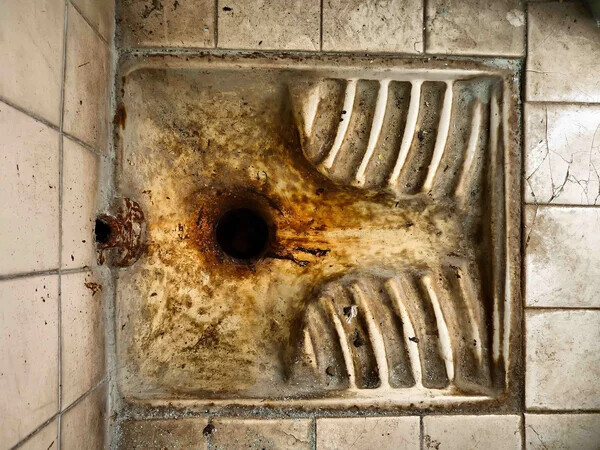 Latrinas universitárias - Delito de Opinião